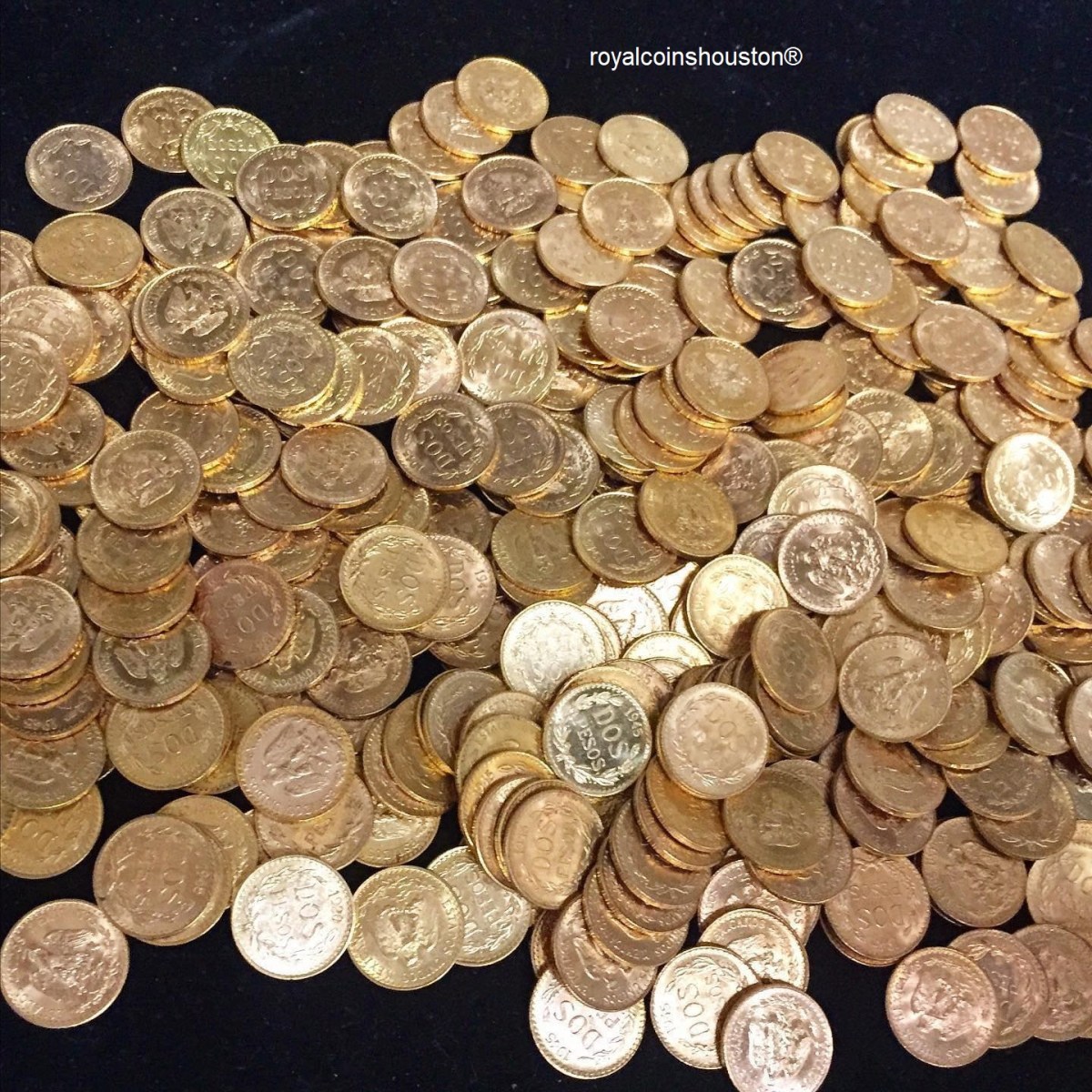 La Familia Centenario | EL DATO